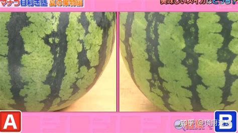 西瓜甜不甜看一眼这里就知道一挑一个准专家的方法真实用 知乎