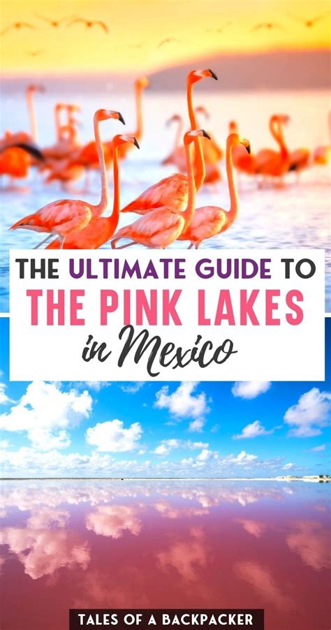 Are The Pink Lakes In Mexico Worth Visiting Artofit
