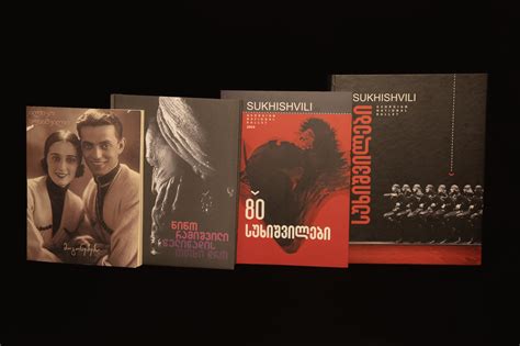 თბილისის სახელმწიფო უნივერსიტეტი • Tbilisi State University საქართველოში ორდღიანი ვიზიტის