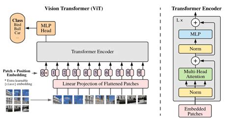 Vision Transformer A New Era In Image Recognition