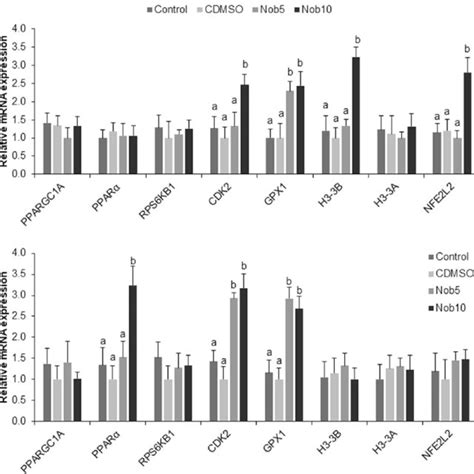 Relative Mrna Transcript Abundance Of Embryo Development Related Genes