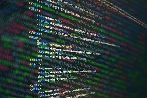 Software Development Mobile App Developer Innovative Startup