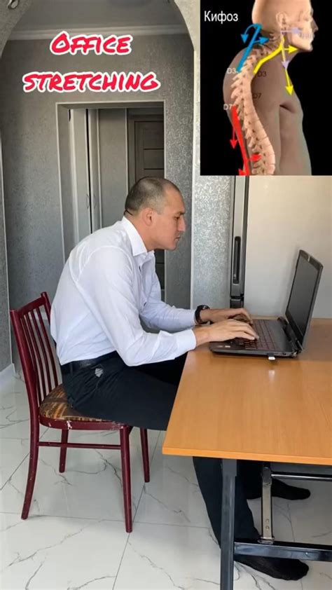 Low Back Mobility Progressions Artofit