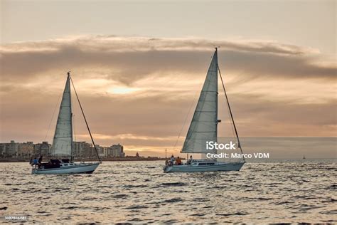 여름 방학이나 휴가 동안 모험을 위해 바다에서 보트를 타는 사람들과 함께 크루즈 여행 및 럭셔리 바다 관광을 위해 요트에서 친구들의 승무원과 함께 휴식을 취하고 배를 타고