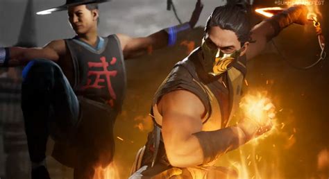 Finally Mortal Kombat Will Let You Team Up Sub Zero With Sub Zero Pc
