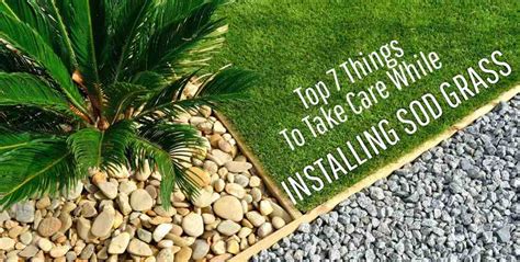 Top 7 Things To Take Care While Installing Sod Grass