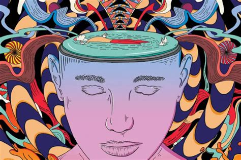 Lsd Ayahuasca E Outros Psicodélicos Estudos Mostram Avanços No