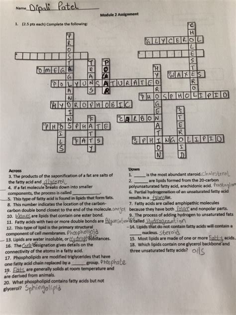 Solved 2 3 Pts Each Complete The Following Concept Map Chegg Com