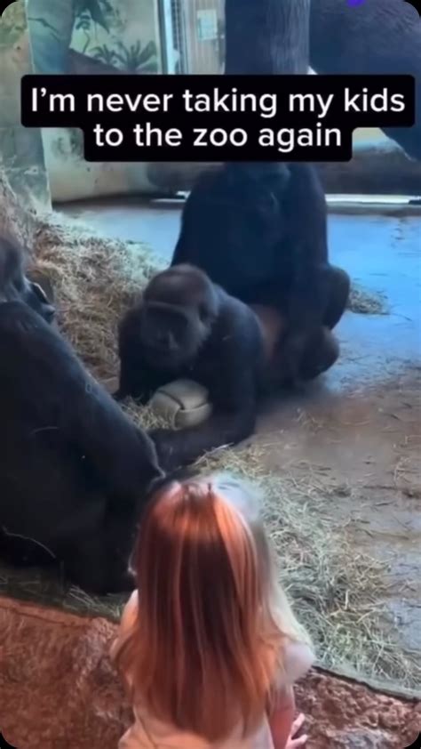 Memes By Fgp Bro Look Evil Instagram