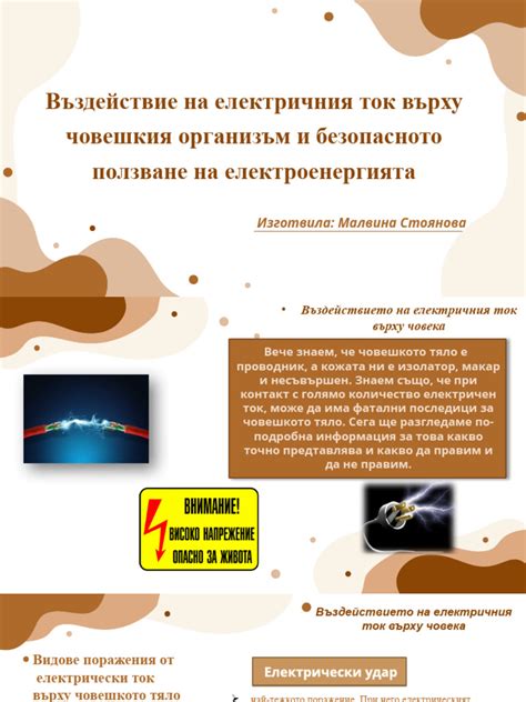 Въздействие на електричния ток върху човешкия организъм и безопасното използване на