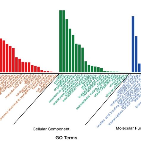 Distribution Of Go Terms For All Annotated Transcripts In Biological Download Scientific
