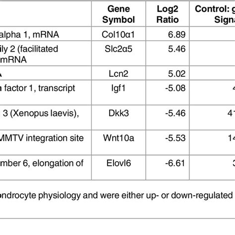 Summary Of Microarray Analysis Download Table