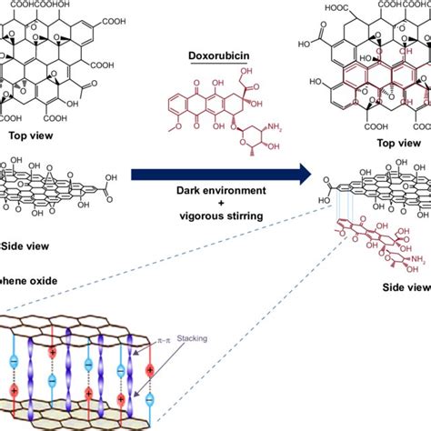 Schematic Representation Of Nanospheres And Nanocapsules Download Scientific Diagram