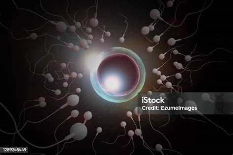 정자 와 계란 3d 일러스트 0명에 대한 스톡 사진 및 기타 이미지 0명 Dna 개념 Istock