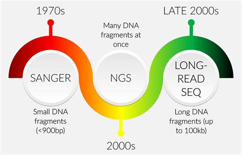 The History Of Dna Sequencing