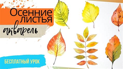 Как нарисовать осенние листья акварелью пошаговый урок для начинающих Youtube