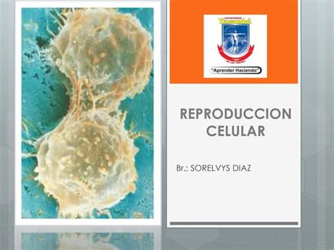 Reproduccion Celular Junto A La Revistas Pptx