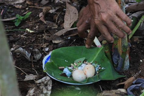 Tolak Bala Emtal Sekeay Suku Dayak Wehea 2020