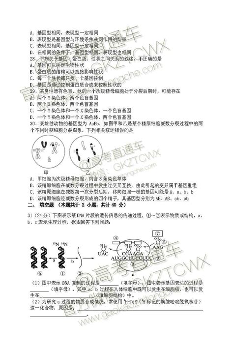 2019吉林省吉林市第五十五中学高一下期末考试生物试题及参考答案 高考直通车