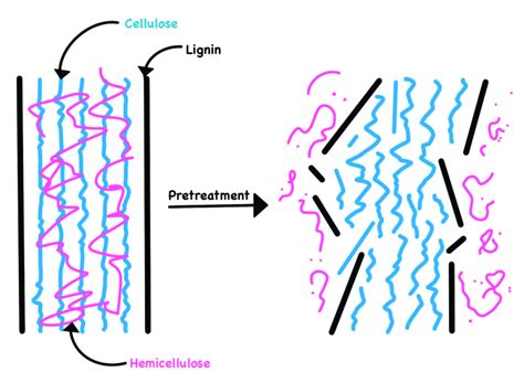Schematic Representation Of Pretreatment Of Lignocellulosic Substrates