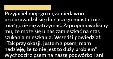 Nowy Wsp Lokator Jebzmeme Pl