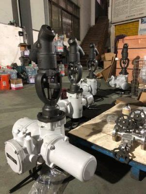 Electric Actuated Globe Valve Efficient Flow Control Globe Valves FLUID VALVES