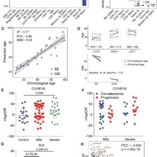 PDF Human PBMC ScRNA Seq Based Aging Clocks Reveal Ribosome To Inflammation Balance As A