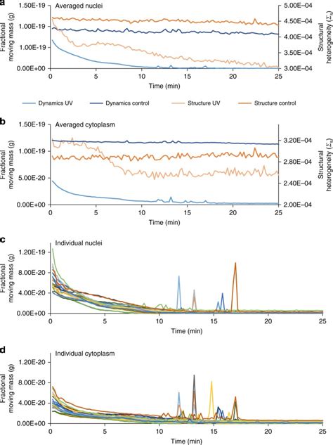 Multimodal Interference Based Imaging Of Nanoscale Structure And Macromolecular Motion Uncovers