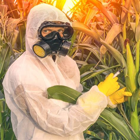 Genetically Modified Crops