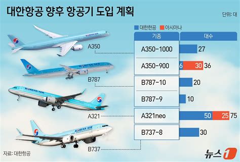 기업결합 다음은 기단교체조원태표 메가캐리어 어떤 날개 달까 뉴스1