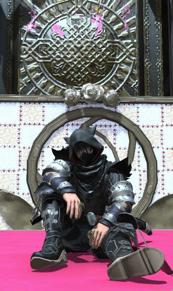 Samurai Assassin Eorzea Collection