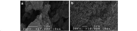 Sem Micrographs Of The Pure Oxides A Tio 2 And B Fumed Sio 2 Download Scientific Diagram
