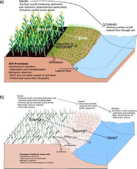 What Is A Vegetative Buffer And Why Are They Important At Albert Jarman Blog