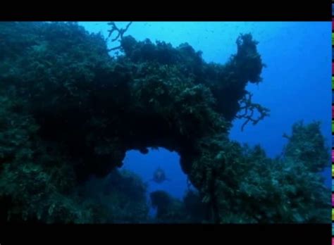 Post [613011156907458560] Voltage Divider Tumbex