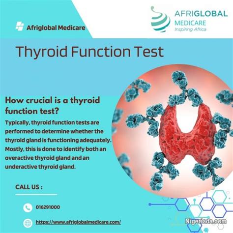 Thyroid Function Test Beauty Health Fitness For Sale In Lagos Lagos Nigeriada