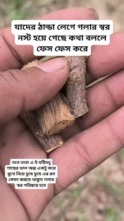 যাদের ঠান্ডা লেগে গলার স্বর নস্ট হয়ে গেছে। Shortvideo Plantsofindia Nature Garden