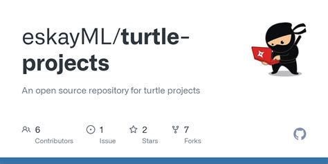Github Eskayml Turtle Projects Where I Stored My Best Projects Which I Did With The Turtle