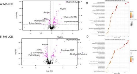 Serum Metabolomic Analysis Of Men On A Low Carbohydrate Diet For