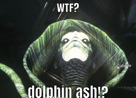 Dolphin Sex R OkBuddyPilot