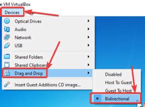 What Is The Seamless Mode On VirtualBox How To Control Host And VM Using It