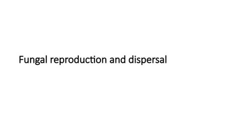 Sexual Reproduction In Fungi Pptx Sexual Reproduction In Fungi Pptx