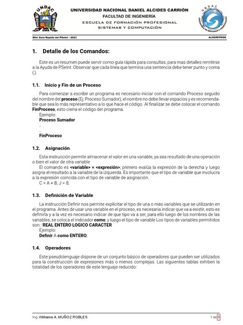 Resumen Pseint Pdf Programa De Computadora Programación