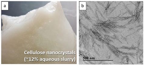 Characterization Of Cnc Nanoparticles Prepared Via Ultrasonic Assisted