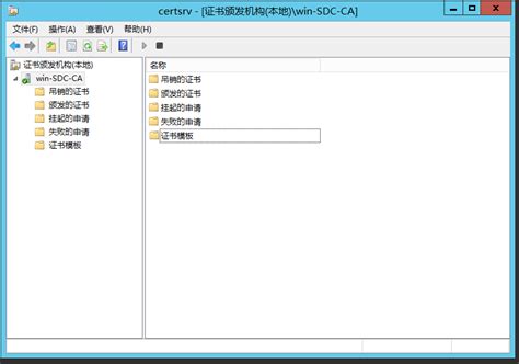 Active Directory 证书服务 Netnote