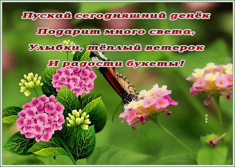 Открытка пусть сегодняшний денек подарит много света Открытки Онлайн
