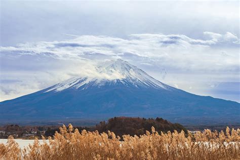 Jpdestinationaturech 갈대 겨울 경치 경치 좋은 전망 경치가 좋은 계절 고요한 관광 명소 구름 구름 낀 하늘 그랜드 눈 덮인 들판