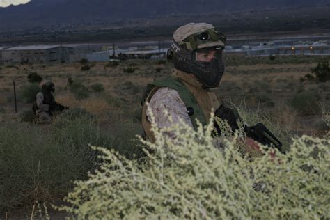 3rd Lar Wolfpacks Charlie Company Sinks Fangs Into Combat Readiness