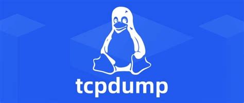 深入探索网络诊断：tcpdump抓包命令详解与应用 不念博客