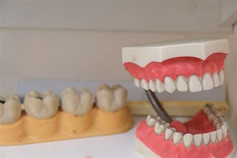 Understanding The Causes Of Loose Teeth In Adults The Dental Care