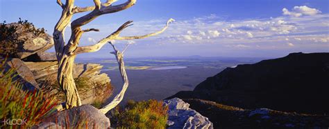 4 Day Albany ANZAC Tree Top Walk Margaret River Tour